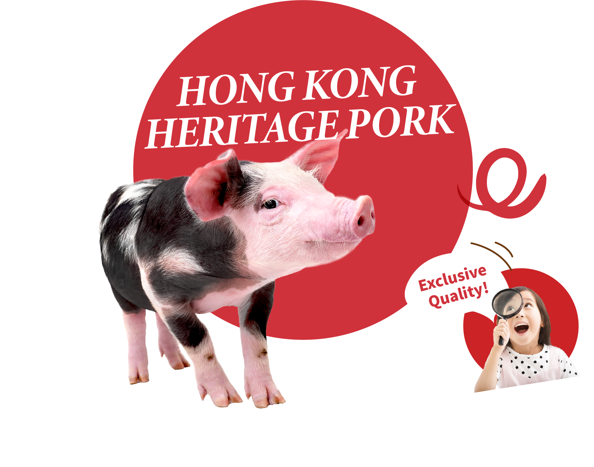 Black Pig Pork & Meat | Black Pig Meat Hong Kong - HKPork