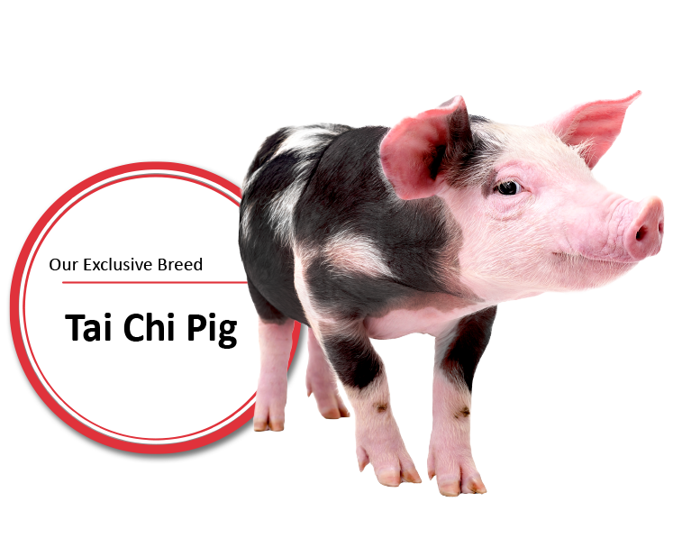 香港家豬 HKPork